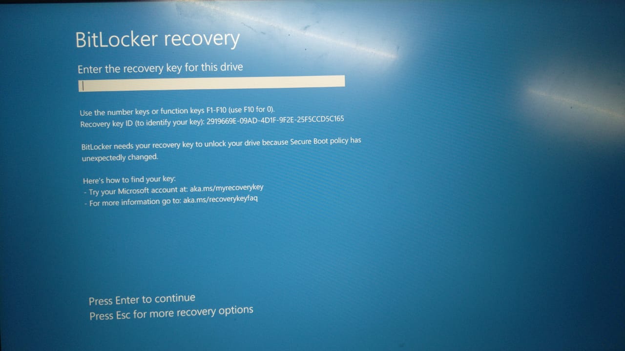 WhatsApp Image 2023-03-31 at 10.07.33 AM.jpeg | Vinafix.com